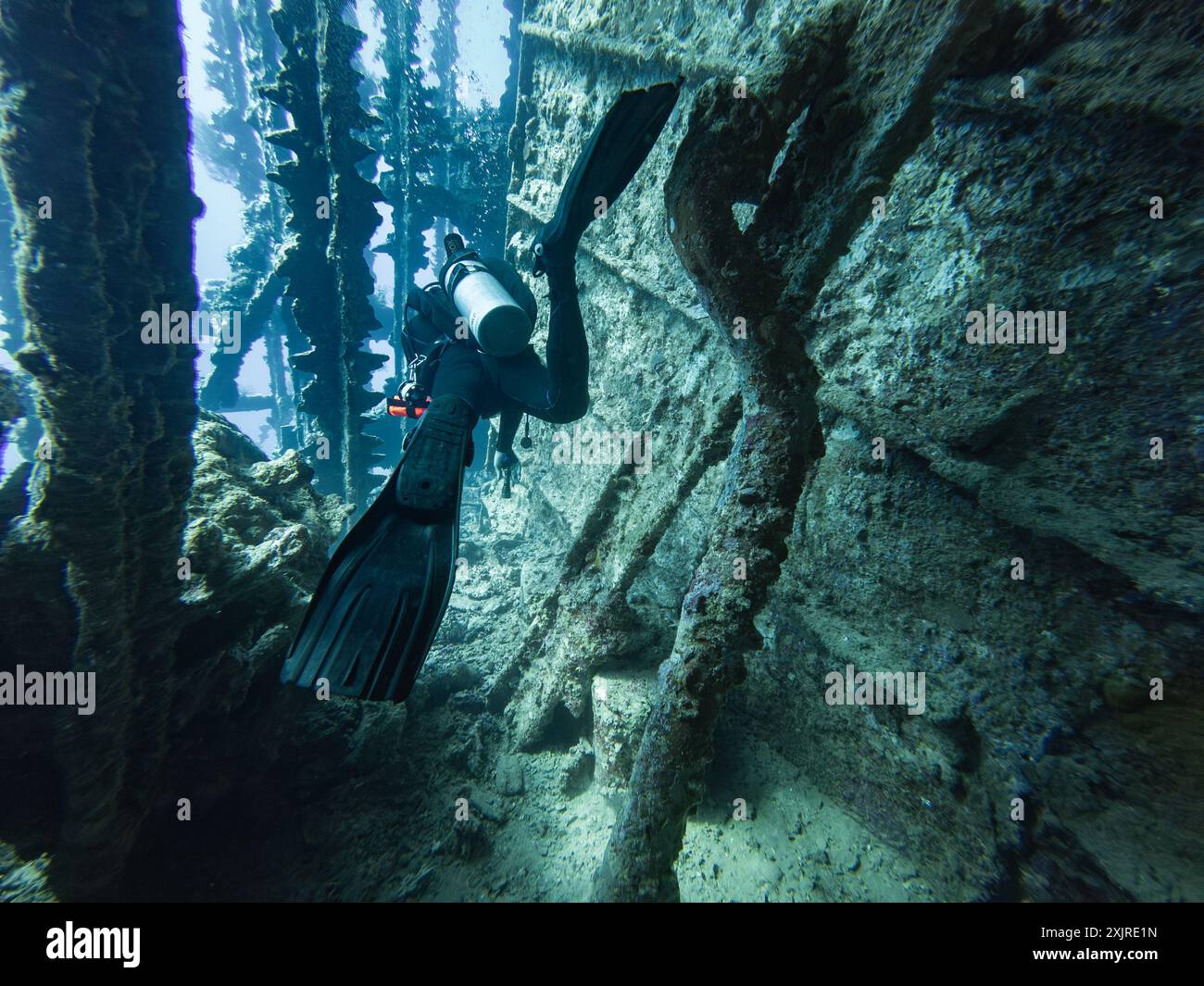 Scuba Diver inside SS Carnatic Wreck at Abu Nuhaz Reef Stock Photo - Alamy