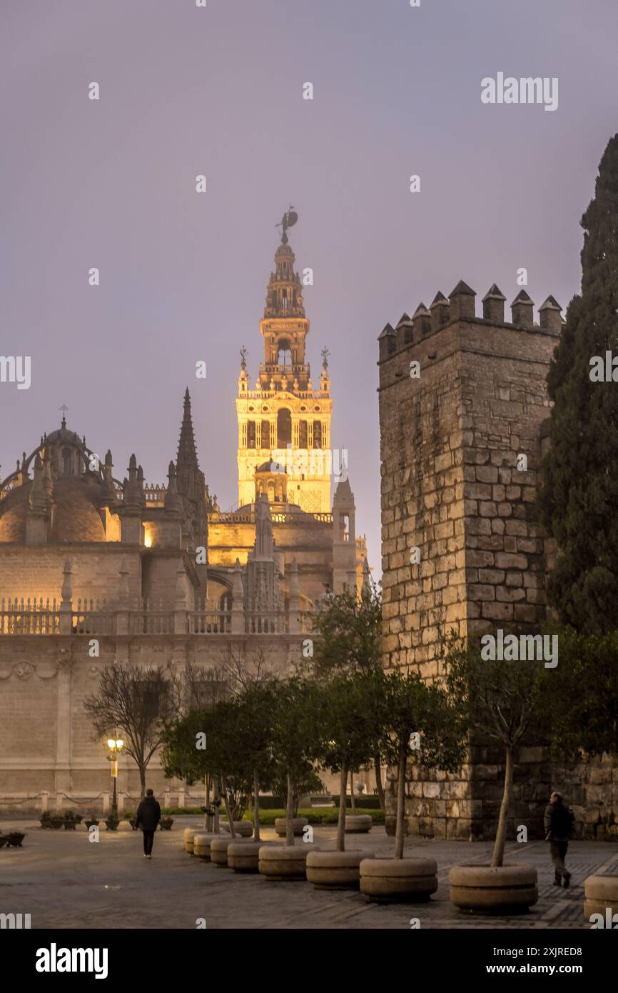 View of Seville Cathedral, officially the Cathedral of Saint Mary of ...