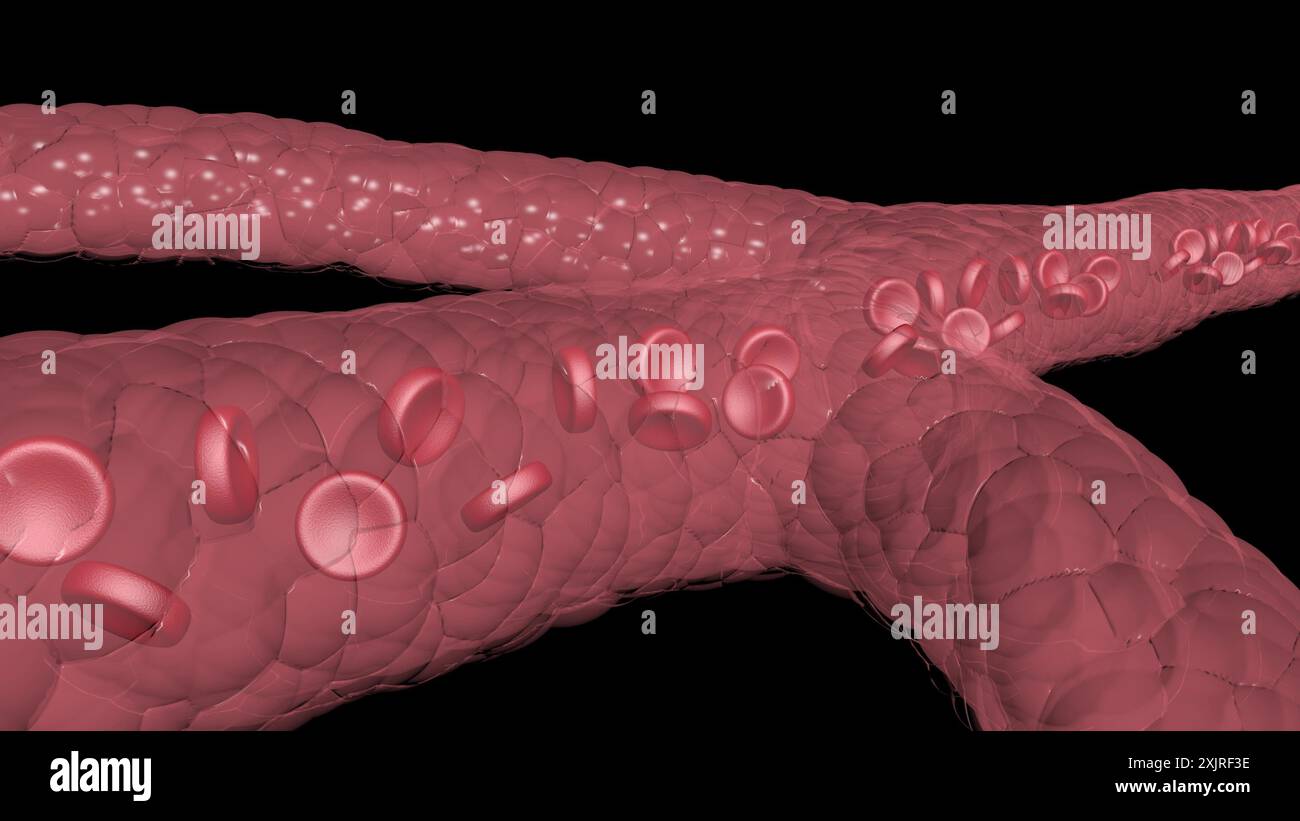 Reconstruction of vessel vein platelets medical experiment 3d render ...