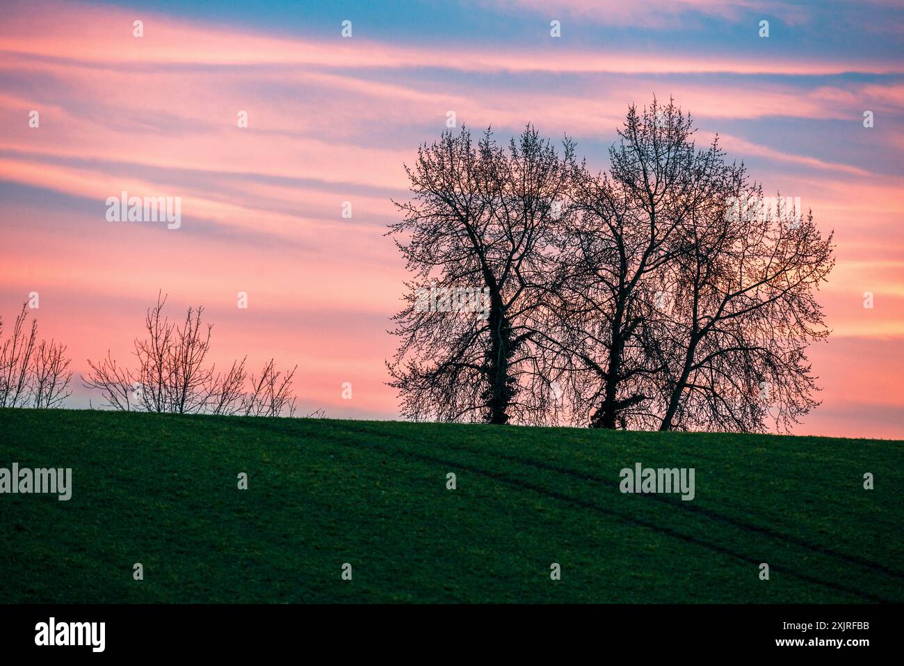 Evening Glow After Sunset on Agricultural Lands of Fribourg with ...