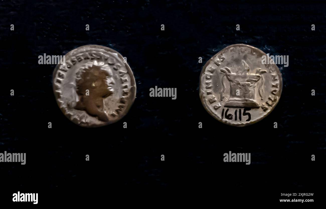 Coins of Ancient Roman period, Emperor Titus era (79-81 AD) Smyrna ...