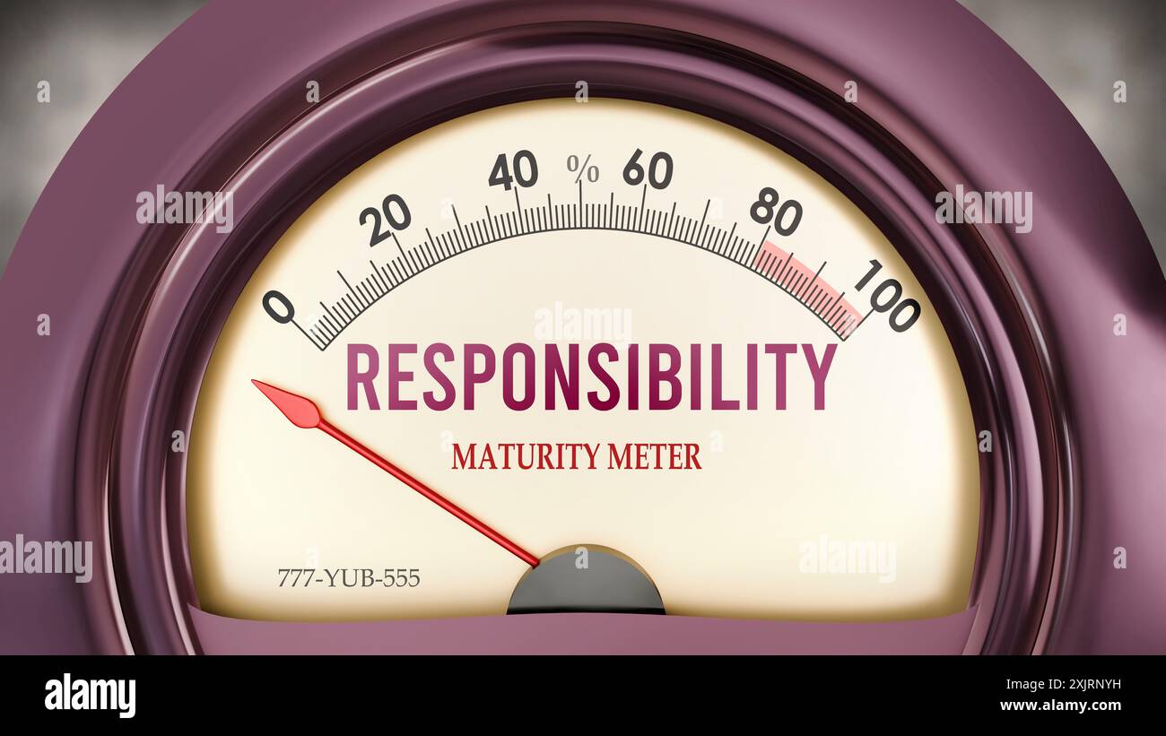 Responsibility and Maturity Meter that hits less than zero, showing an ...