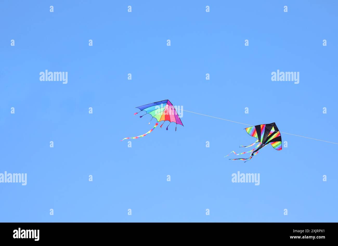colorful large kites with rainbow colors flying in the blue sky tied to ...