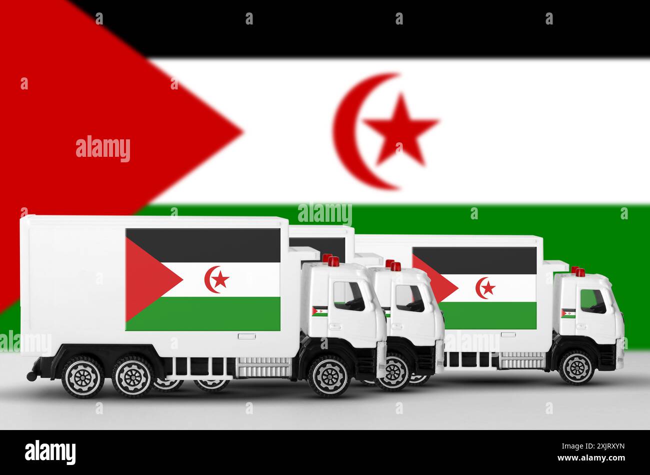 Western Sahara flag depicted on side wall of white delivery van close ...