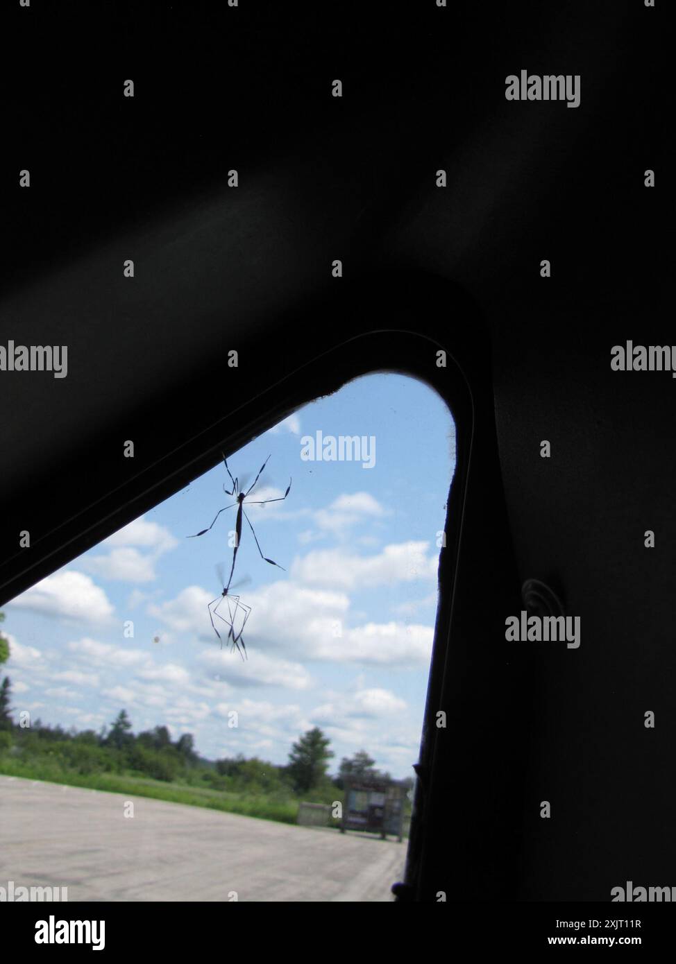 Phantom crane hi-res stock photography and images - Alamy