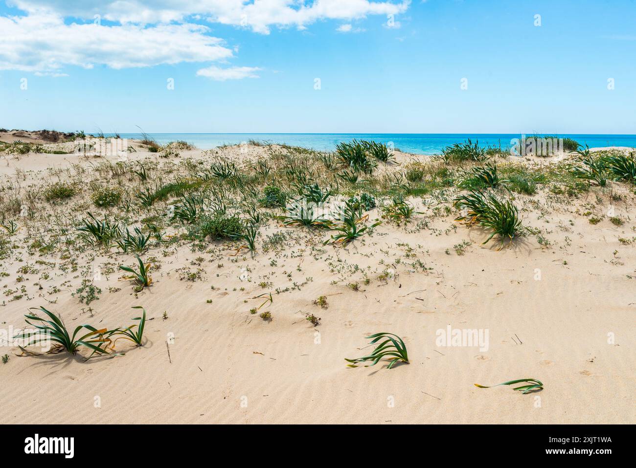 Lago da praia hi-res stock photography and images - Alamy
