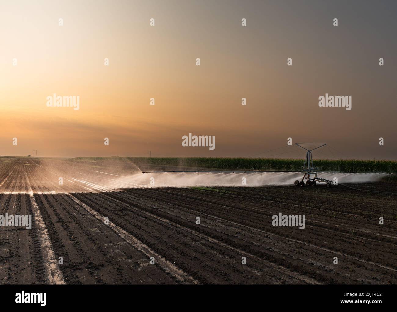 Agricultural irrigation system watering corn field on sunny spring day ...