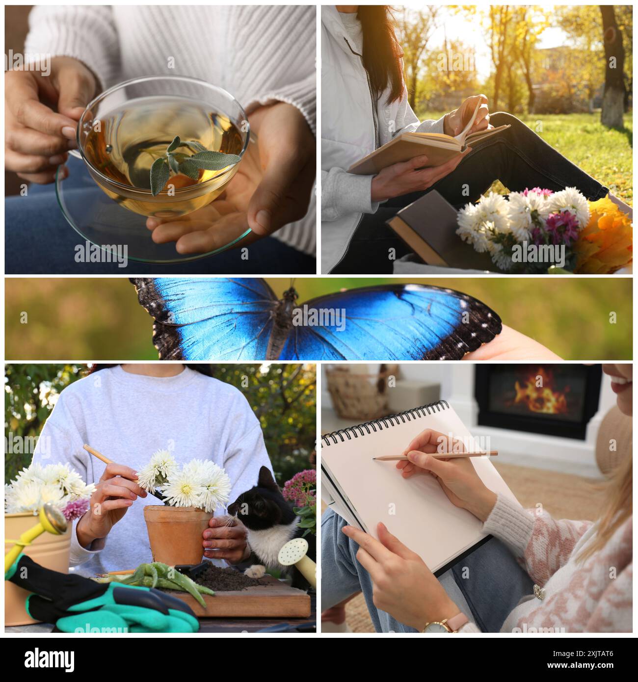 Collage with photos of spending time in nature. Slow living Stock Photo ...