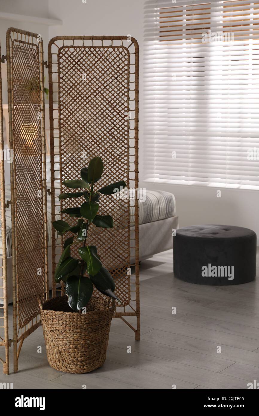 Folding screen and comfortable bed in bedroom. Interior design Stock ...