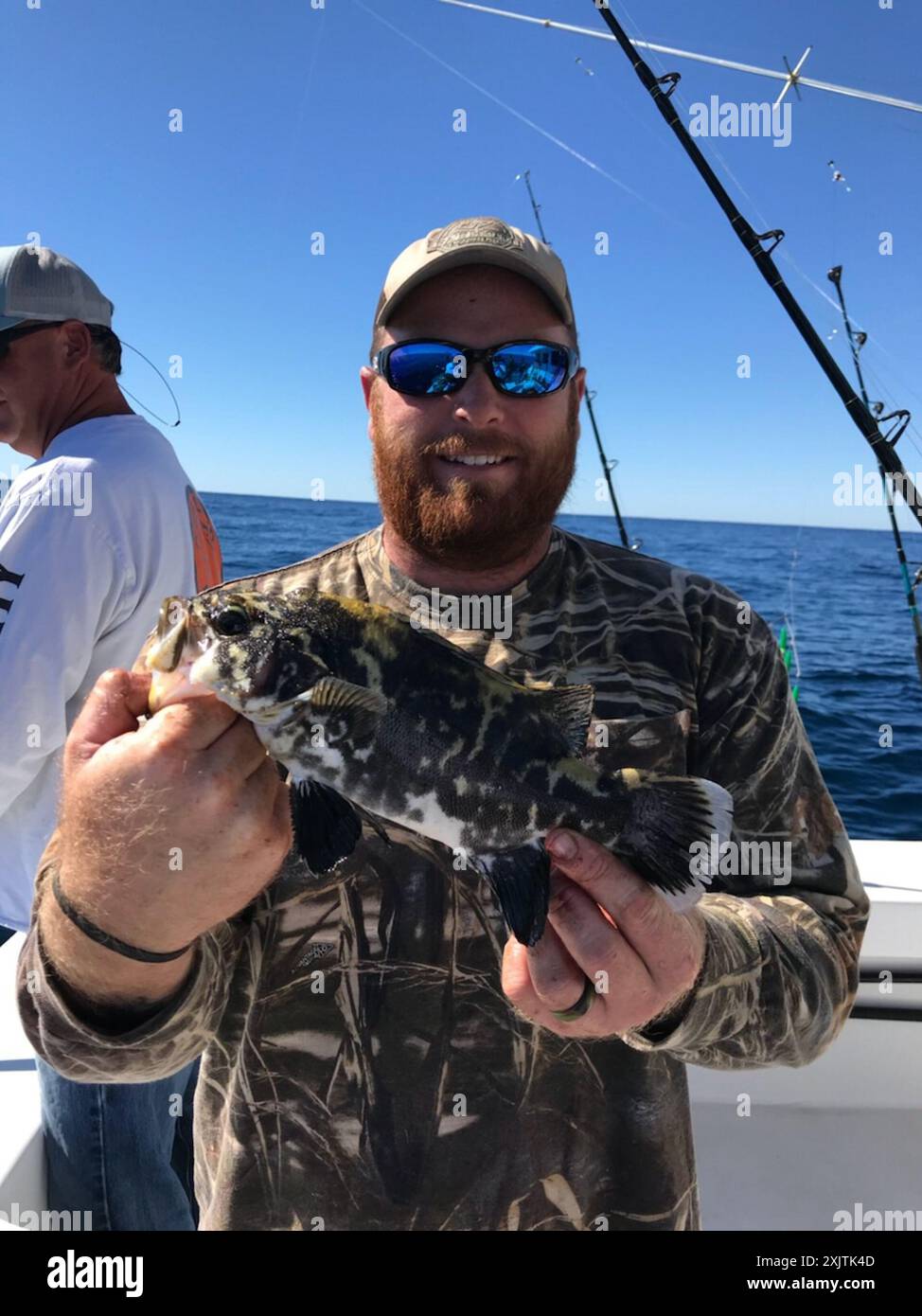 Ray-finned Fishes (Actinopterygii) Actinopterygii Stock Photo - Alamy