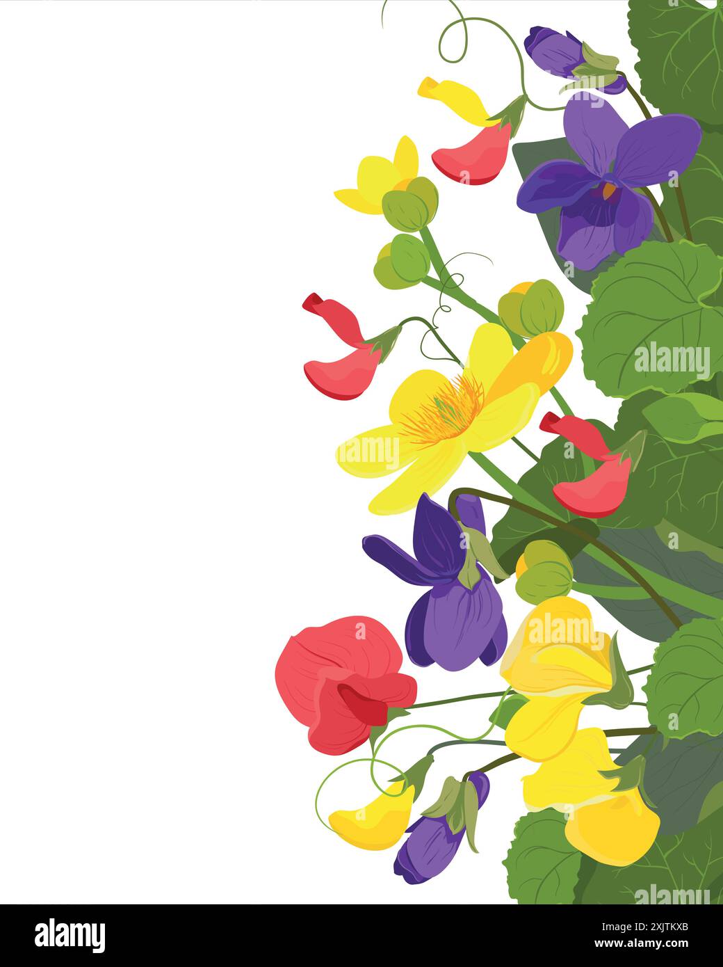 Vector wild flowers. Violet, marsh marigold, sweet pea. Herbs ...