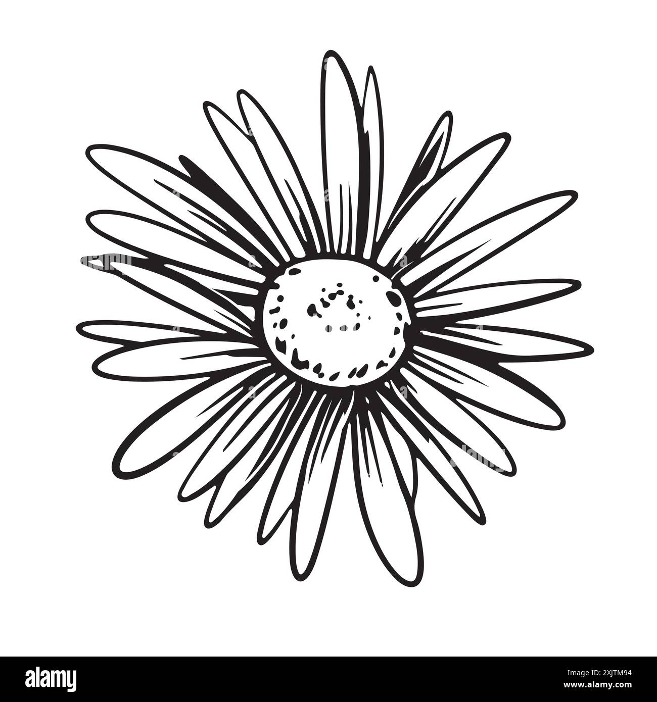 Chamomile hand drawn. Vector illustration. Chamomile head in line art ...