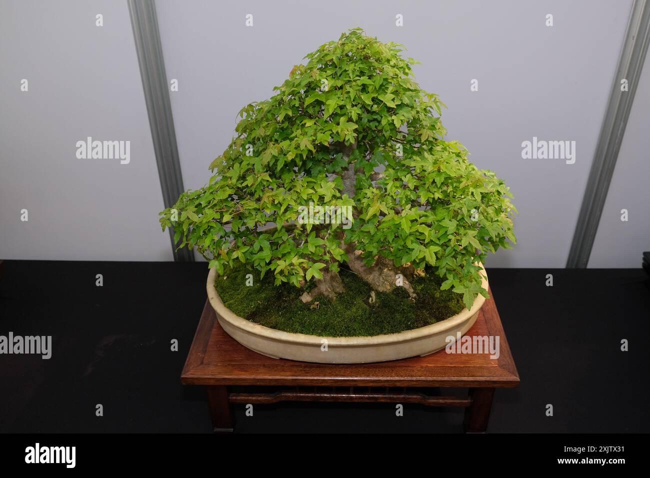 Hyper japan london 2024 hi-res stock photography and images - Alamy