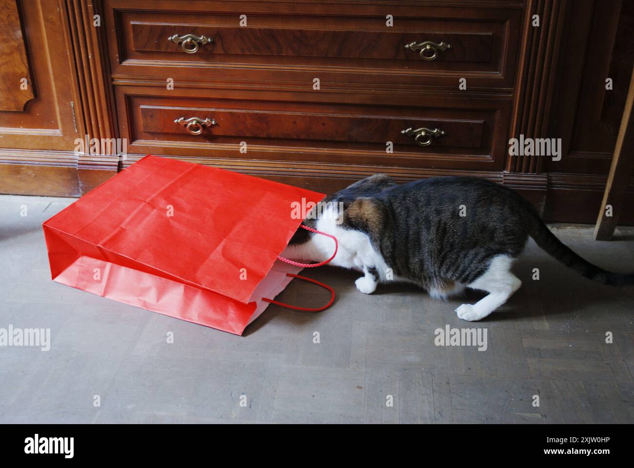 Bolsa blanco hi-res stock photography and images - Alamy