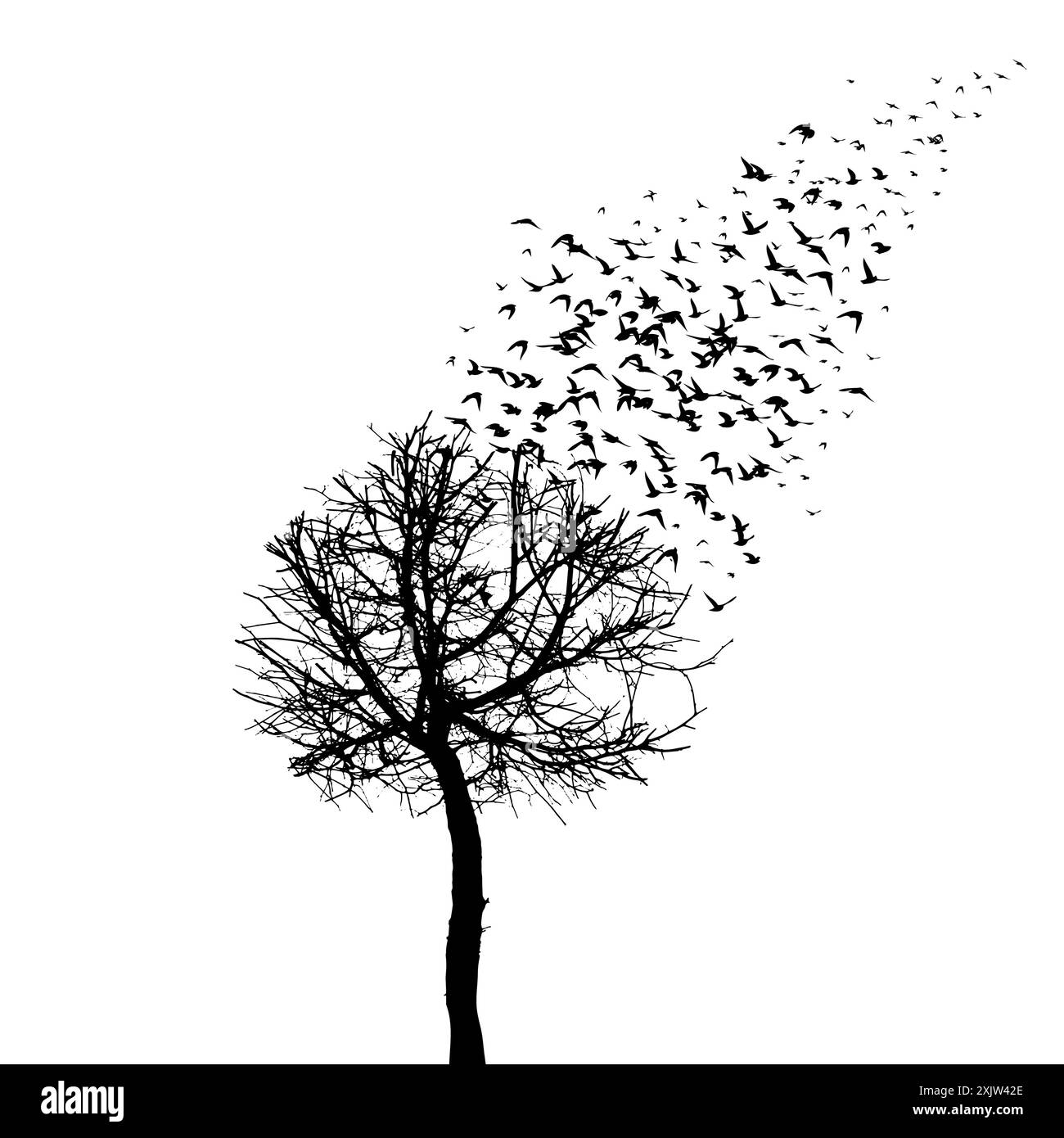 Glide wing Black and White Stock Photos & Images - Alamy