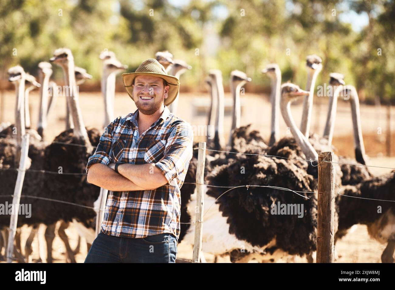 Nature, man and ostrich on farm with portrait for agriculture ...