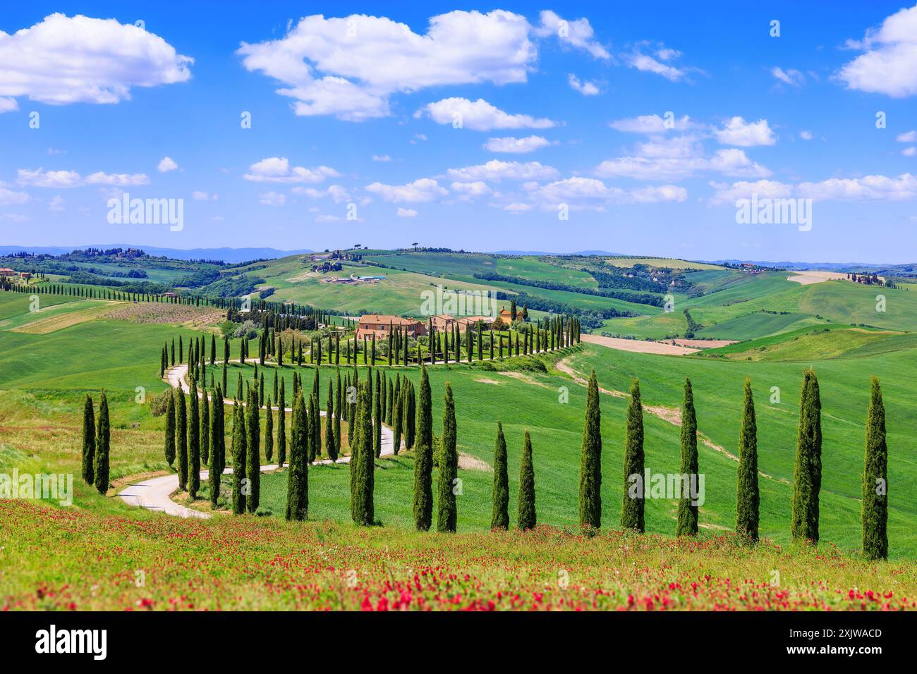 Typical italian country scene hi-res stock photography and images - Alamy