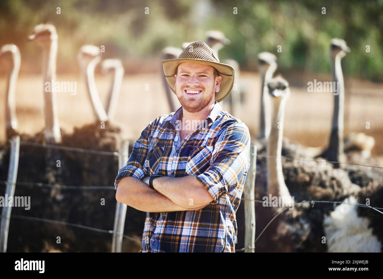 Portrait, man and ostrich on farm for agriculture, sustainability or ...