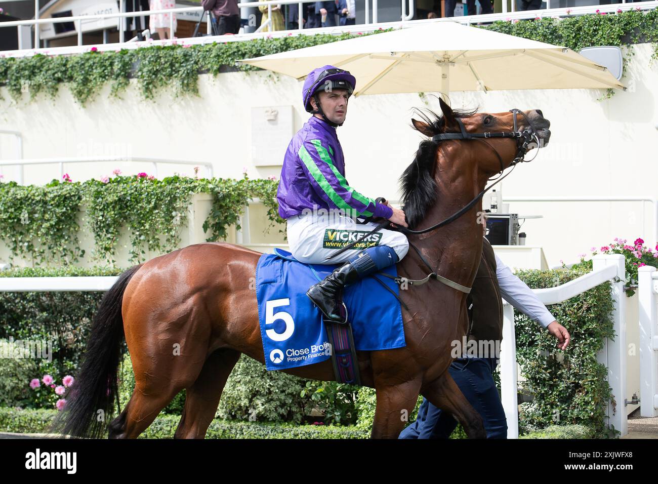 John butler trainer hi-res stock photography and images - Alamy