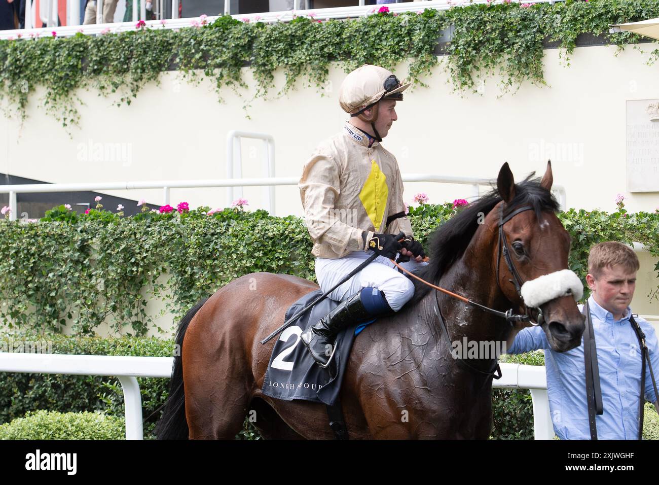 Sponsor santry ltd hi-res stock photography and images - Alamy