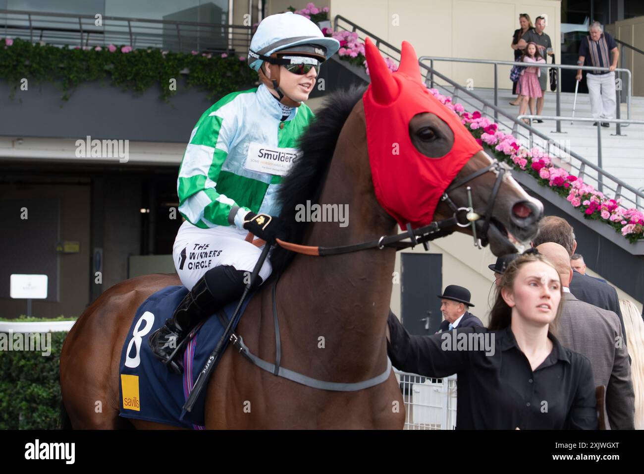 Crystal flyer horse hi-res stock photography and images - Alamy