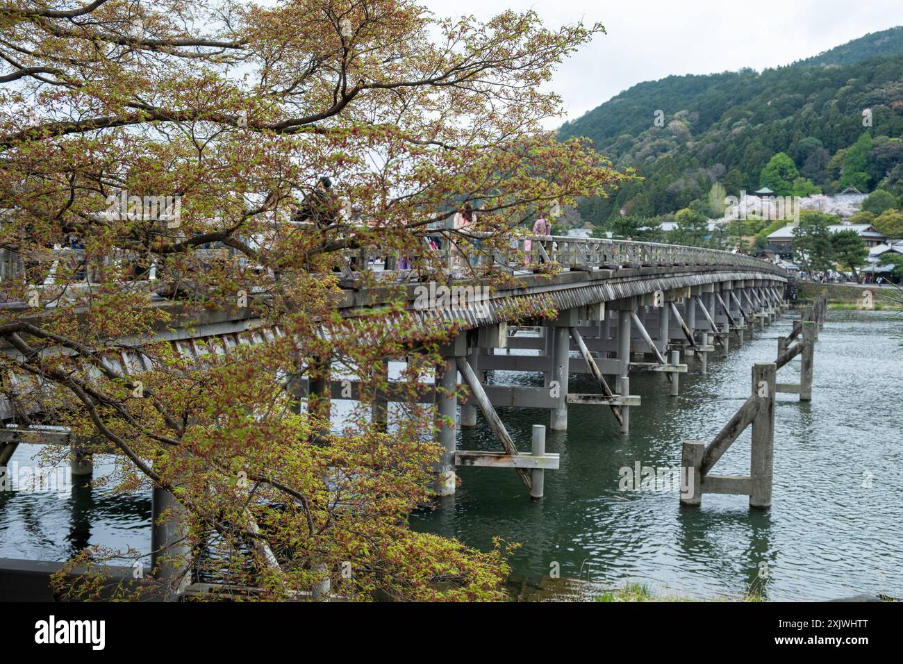 Wooden old Uji Bridge over Uji river. Kyoto Japan Stock Photo - Alamy
