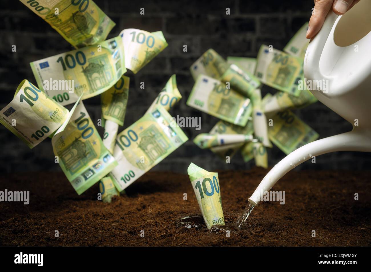 Planting and watering money trees. A symbolic concept shot for finance ...