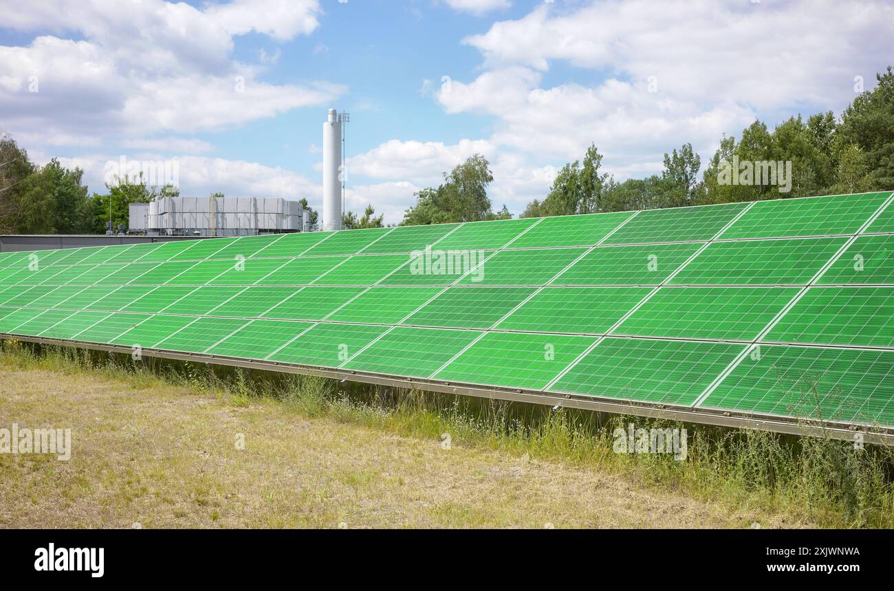 Solar panel farm renewable green hi-res stock photography and images ...