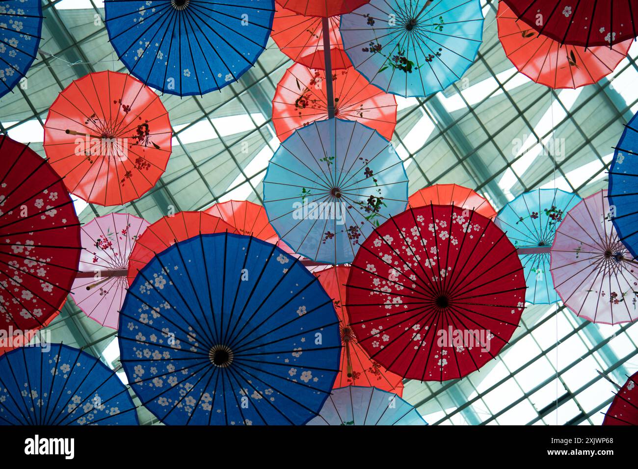 Japanese wagasa umbrella hi-res stock photography and images - Alamy