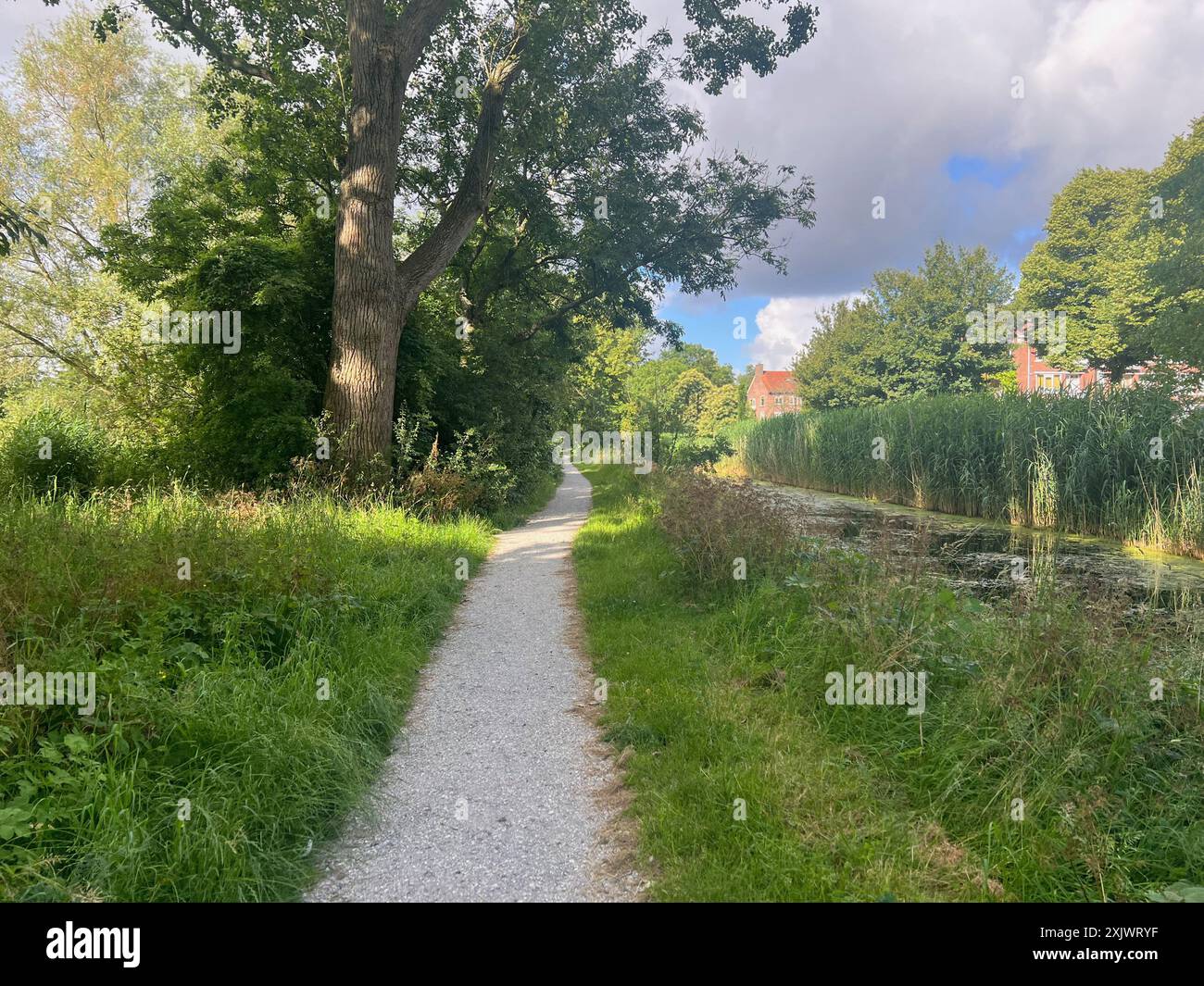 Picturesque view of river, trees and pathway Stock Photo - Alamy