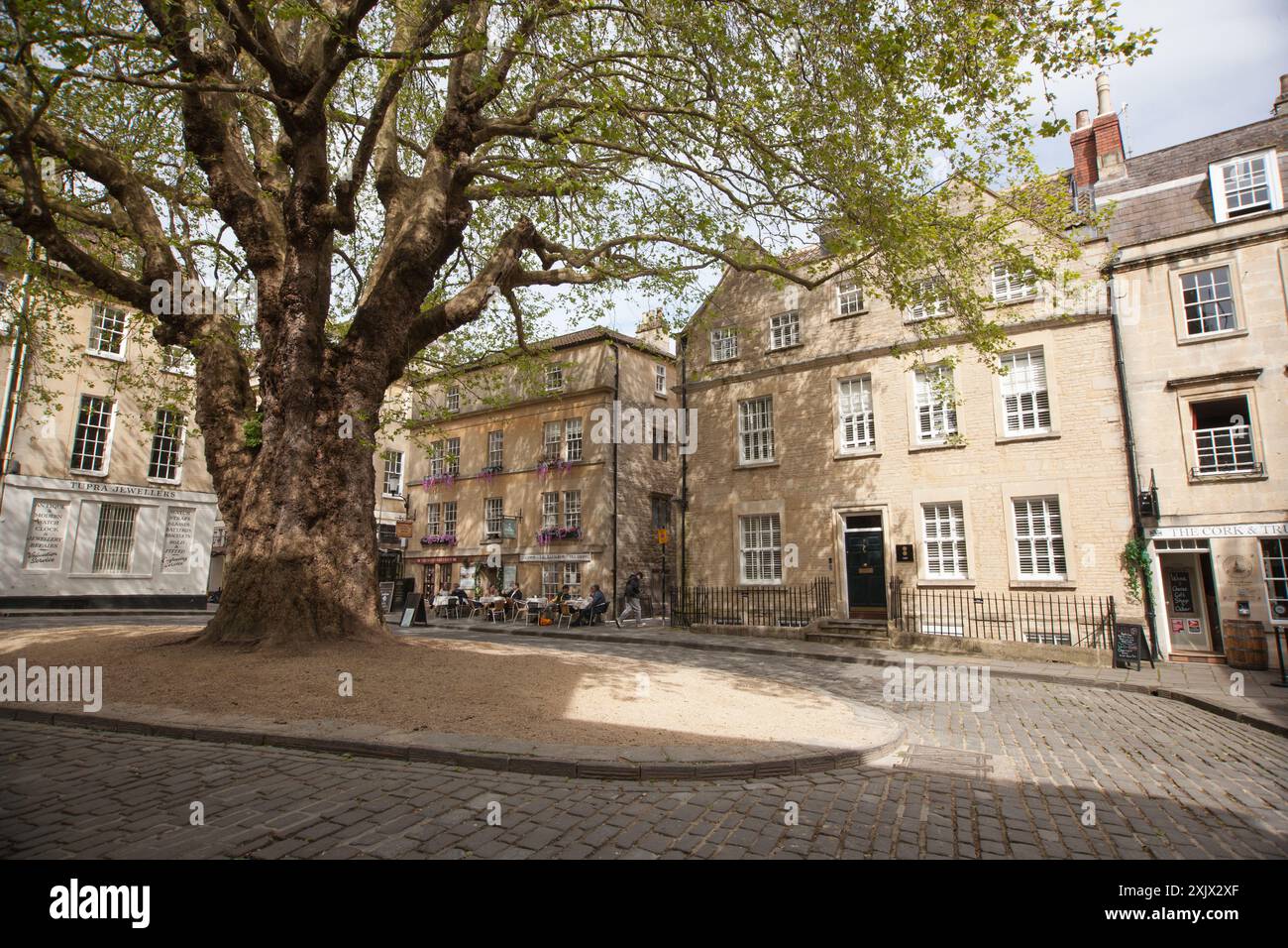 Views of Abbey Green and the Giant Plane Tree in Bath, Somerset in the ...