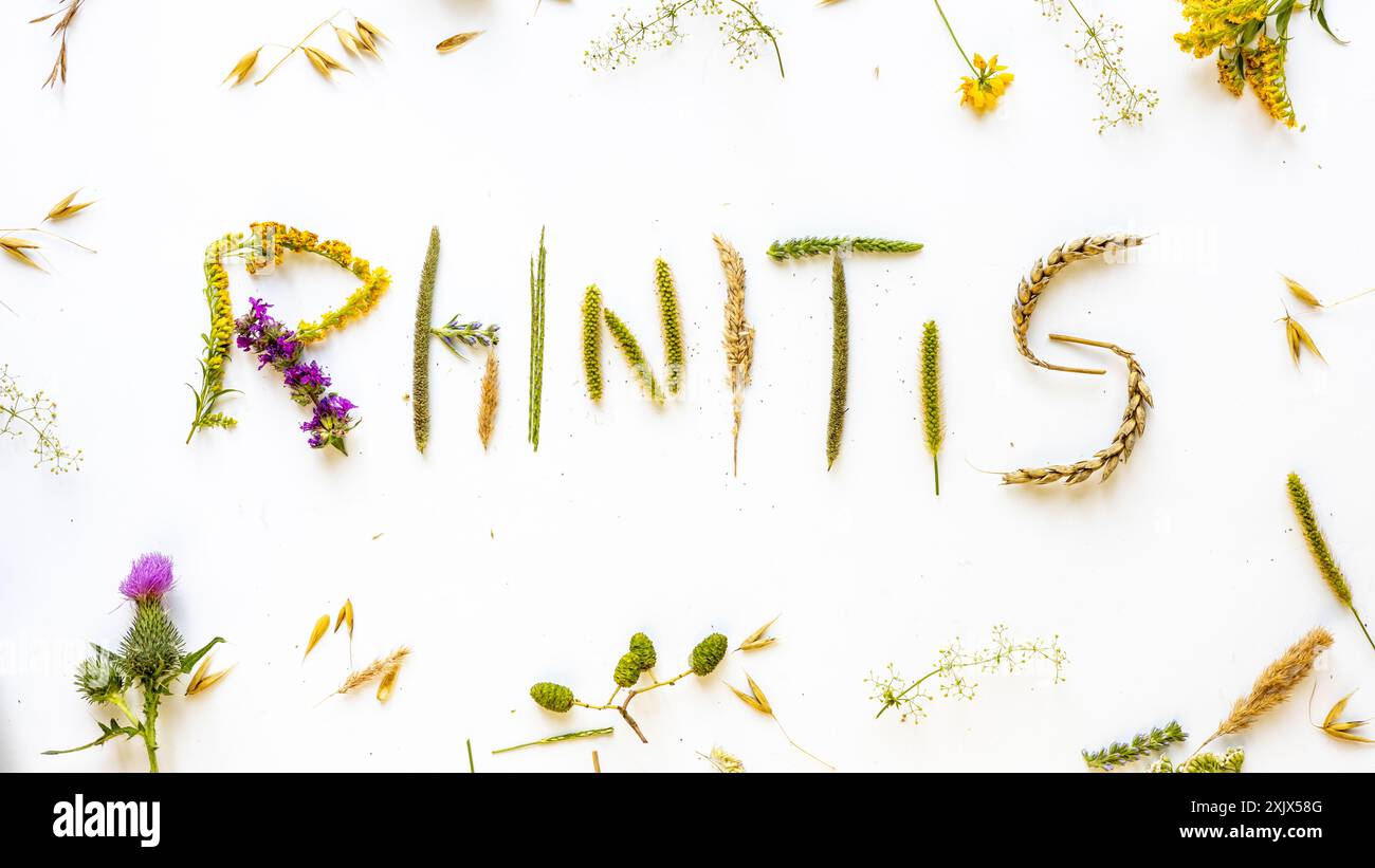 Rhinitis word arranged from allergenic plants.Pollen and grass allergy ...