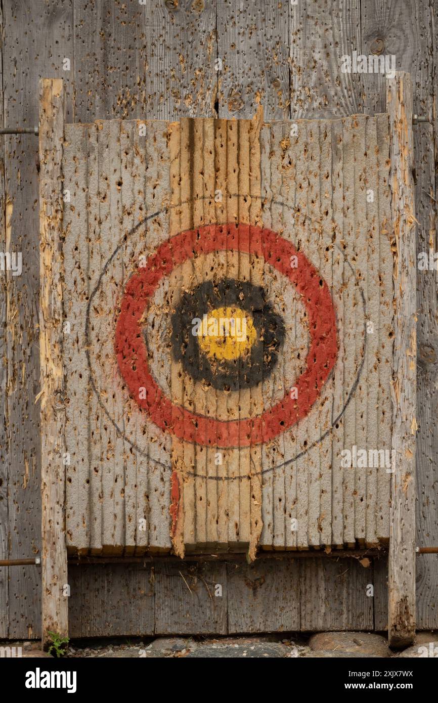 A cross section of a wooden with grungy looking target painted on it ...