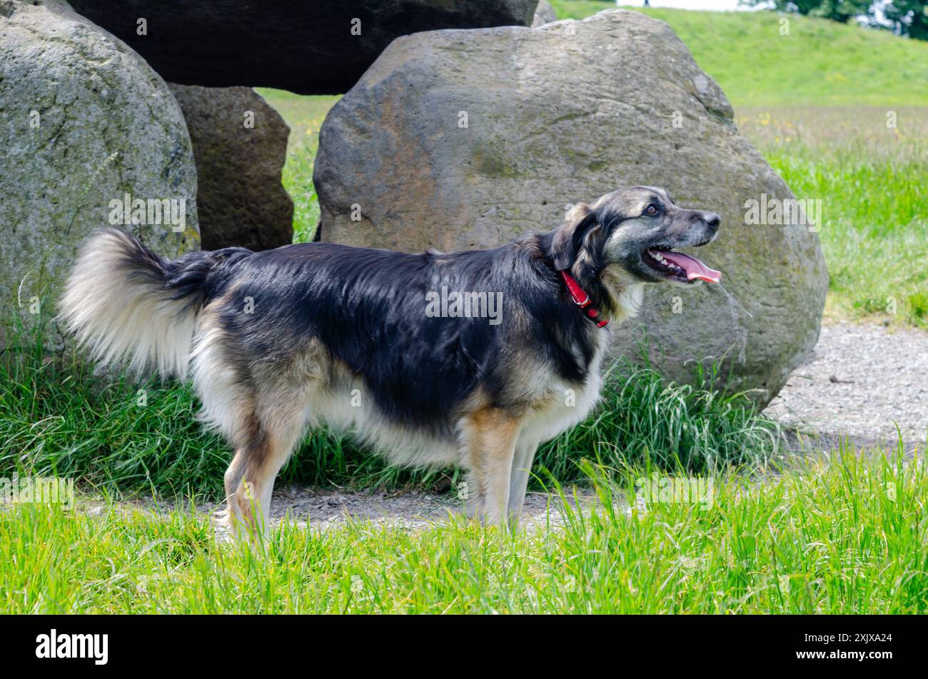 Ballynahatty tomb hi-res stock photography and images - Alamy