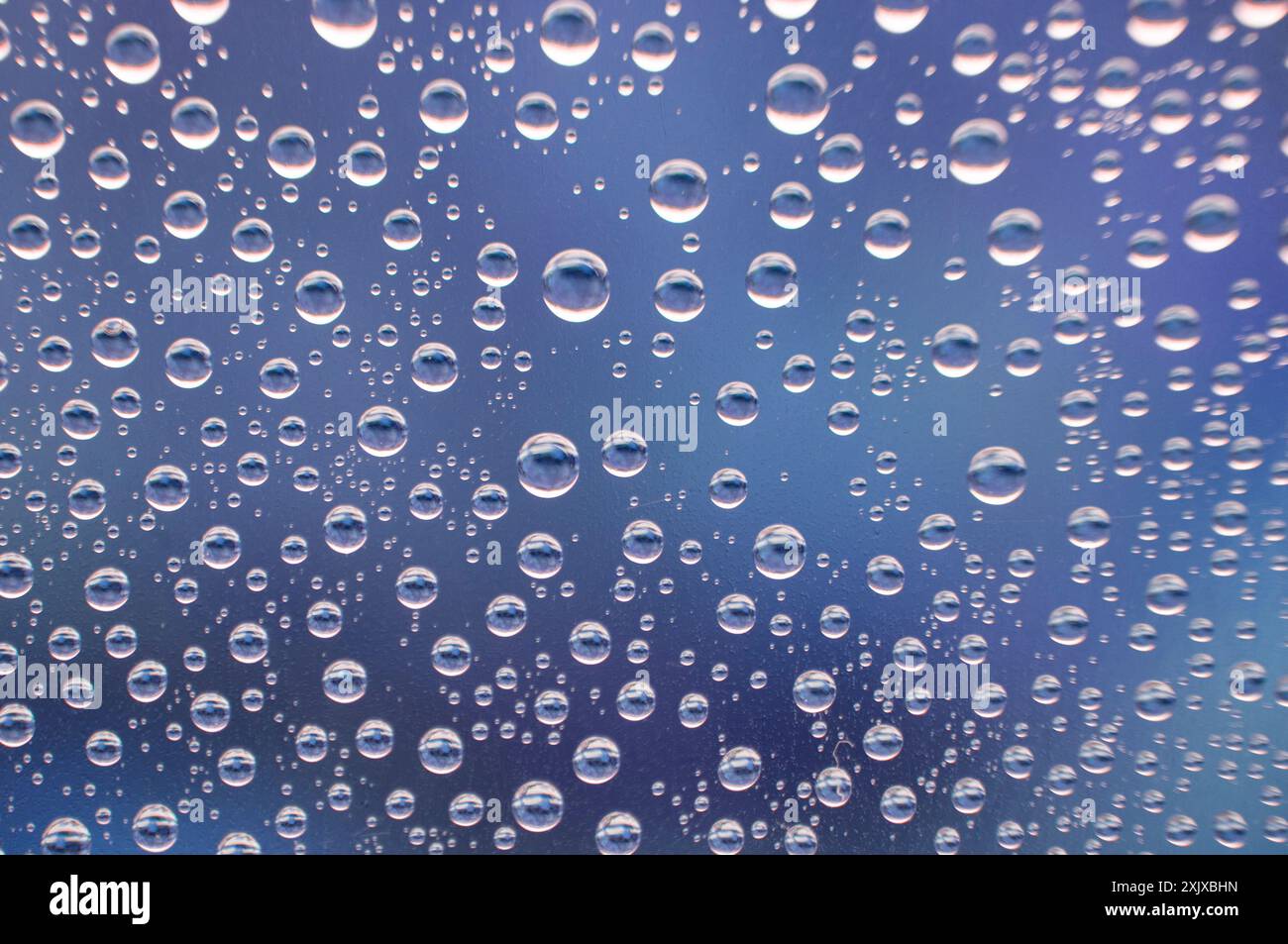 Water droplets with blue color background Stock Photo - Alamy