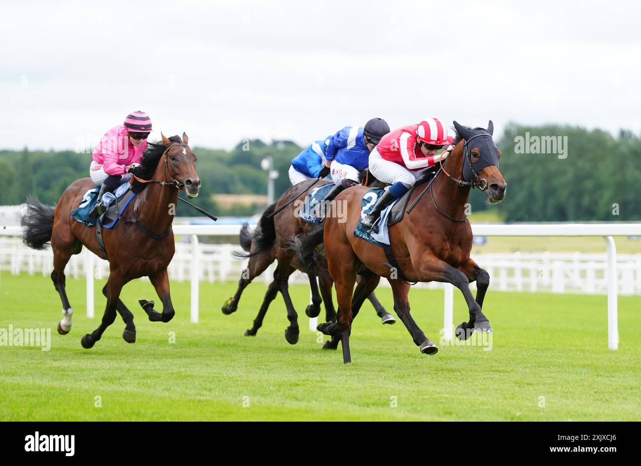 Phantom flight horse hi-res stock photography and images - Alamy