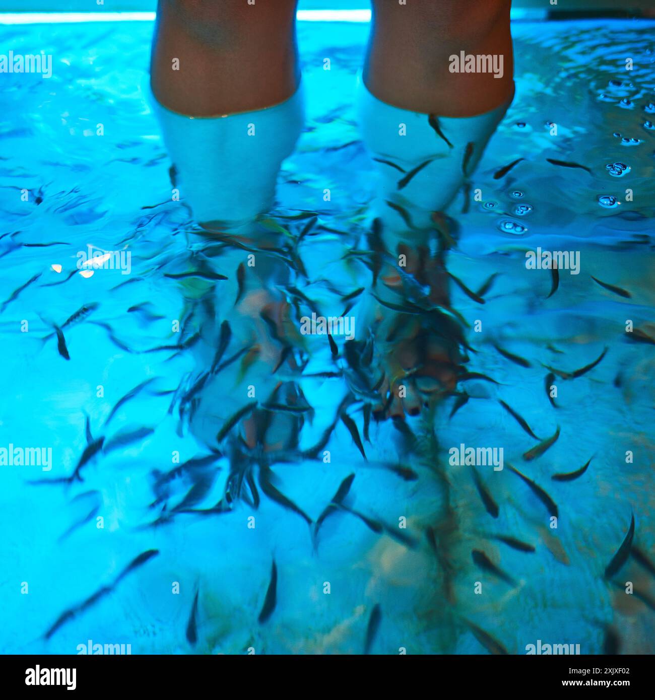 Fish, swimming and feet in water for pedicure, treatment and vacation ...
