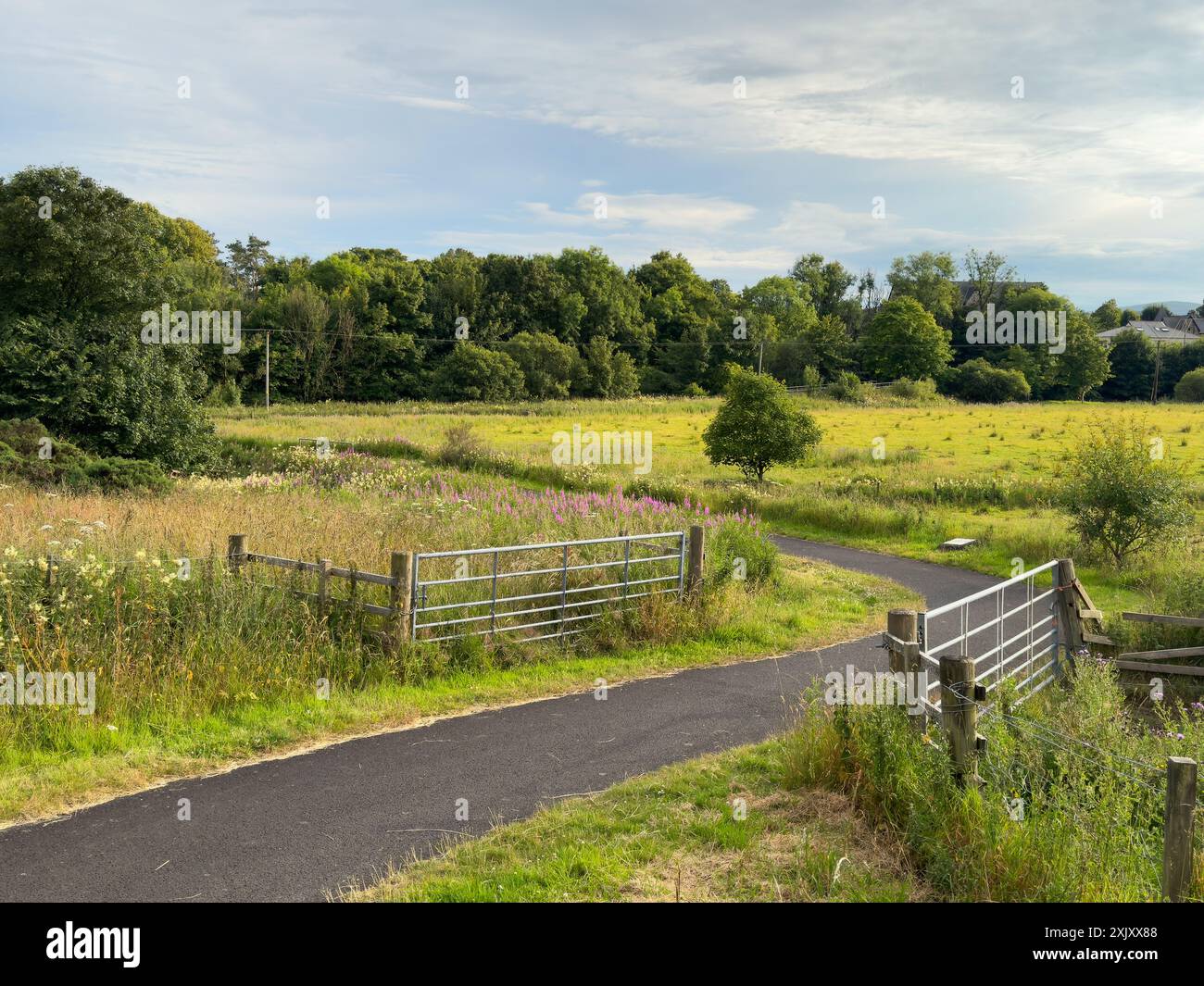 Cycle and walk path between Bridge of Weir and Quarriers Village Stock ...