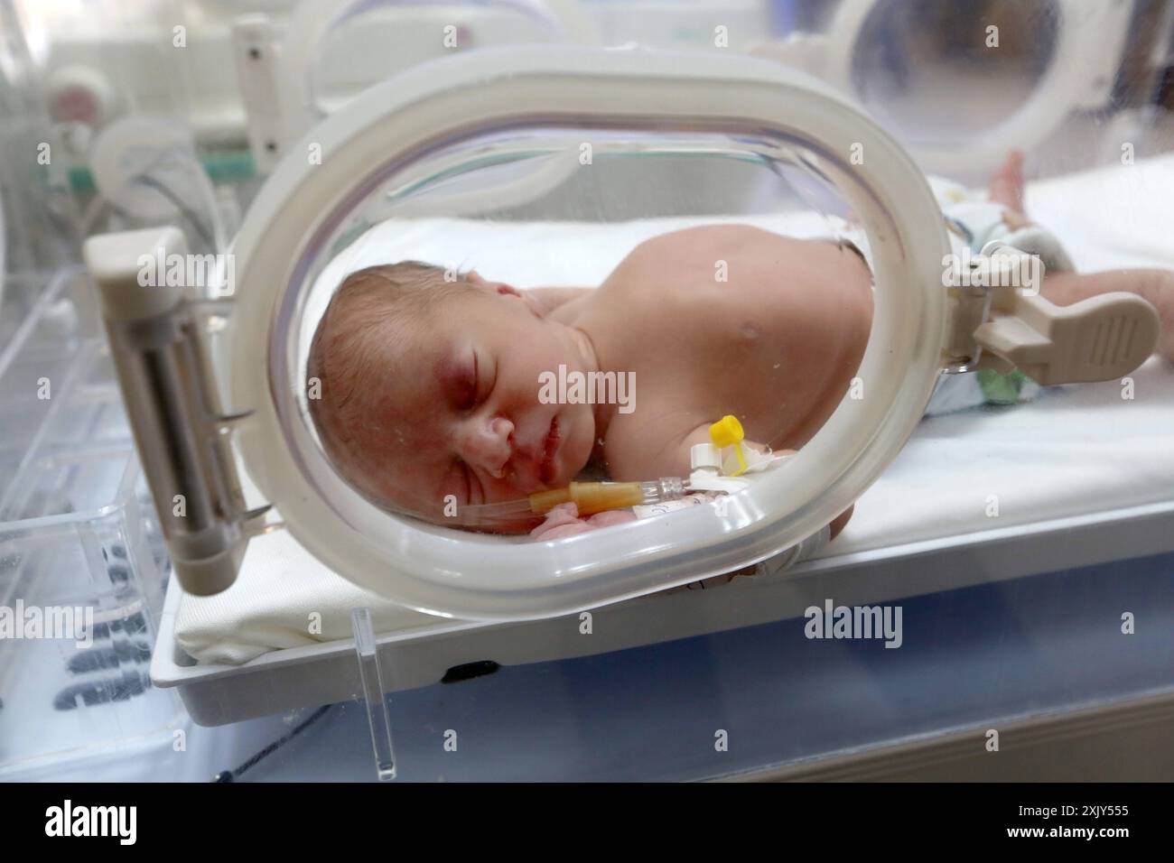 Al kurd family hi-res stock photography and images - Alamy