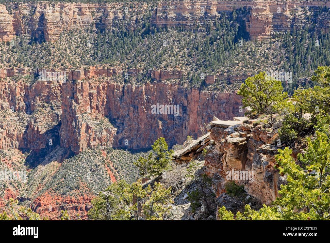 Striated layers of eroding sedimentary rock of Grand Canyon wall Stock ...