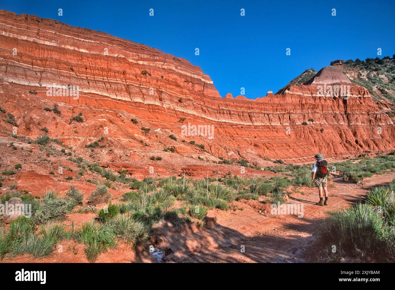 Hiker at Lighthouse Trail looking at Caprock Escarpment geological ...