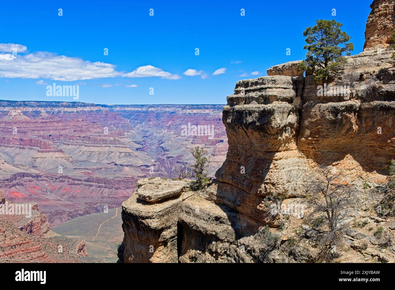 Brightly colored rock formations beyond eroded Kaibab limestone ...