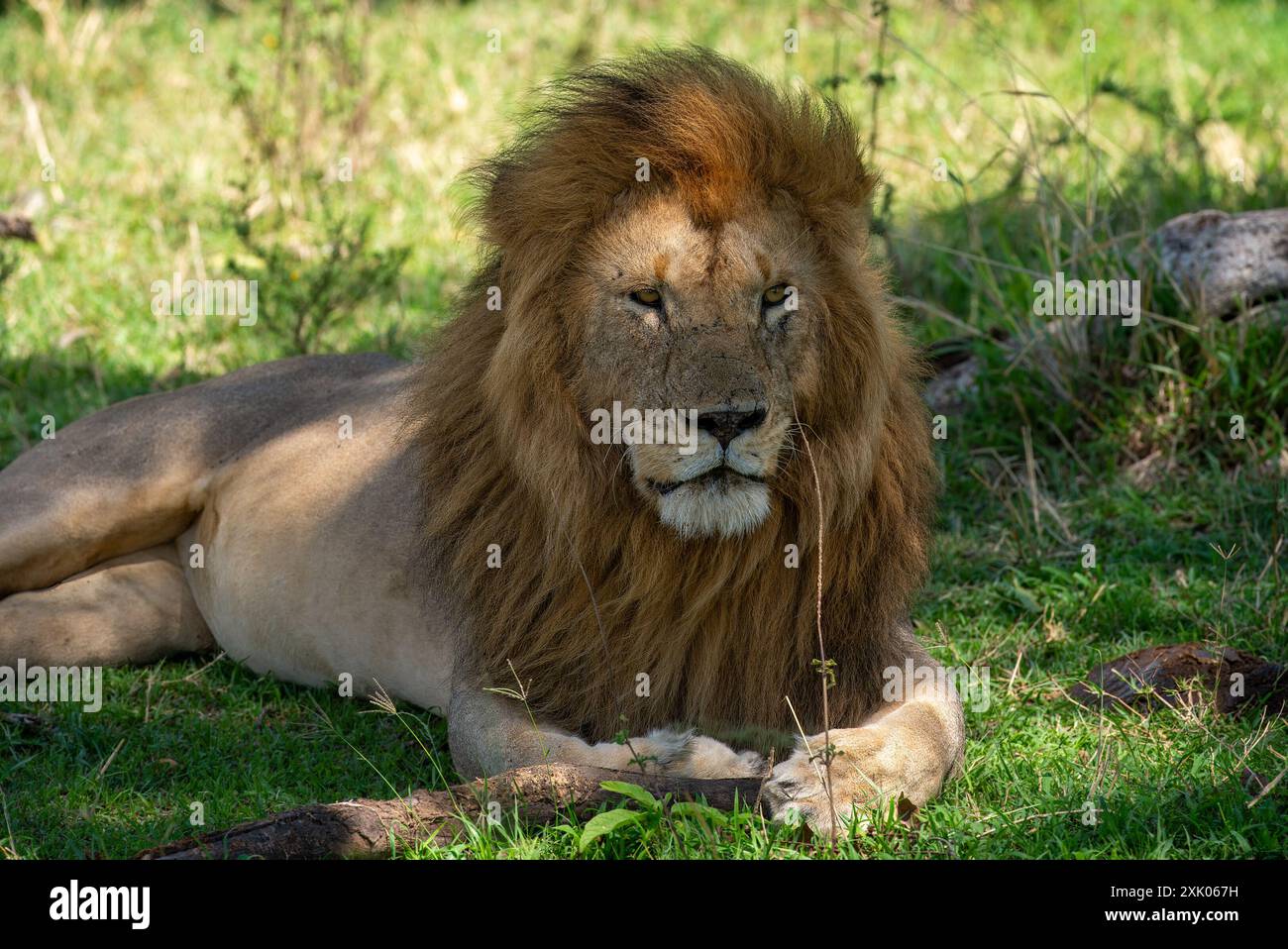 280 east broad hi-res stock photography and images - Alamy