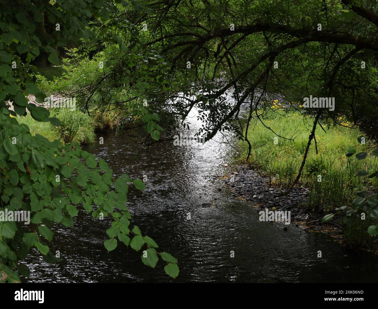 The River Laune at National Park in Killarney, County Cork, Ireland on ...