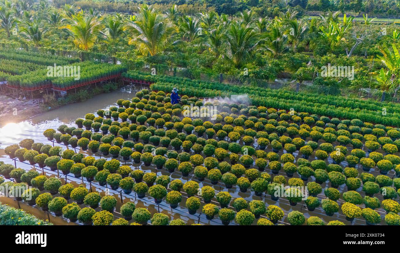 Aerial view of Sa Dec flower garden in Dong Thap province, Vietnam. It ...