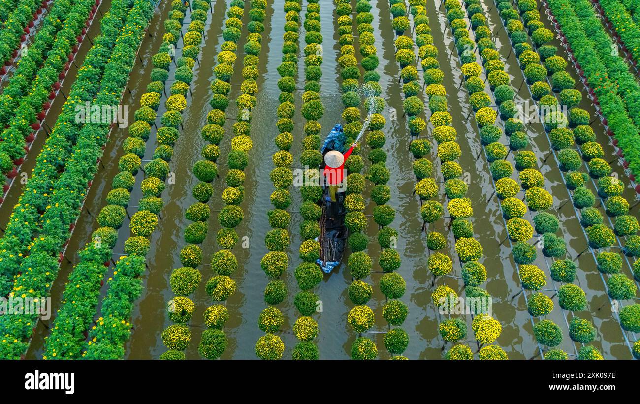 Aerial view of Sa Dec flower garden in Dong Thap province, Vietnam. It ...