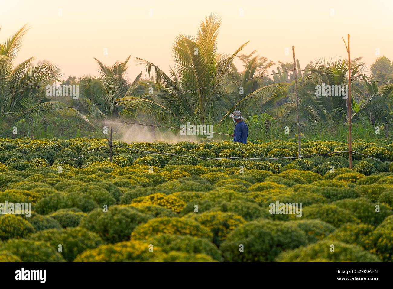 view of Sa Dec flower garden in Dong Thap province, Vietnam. It's ...