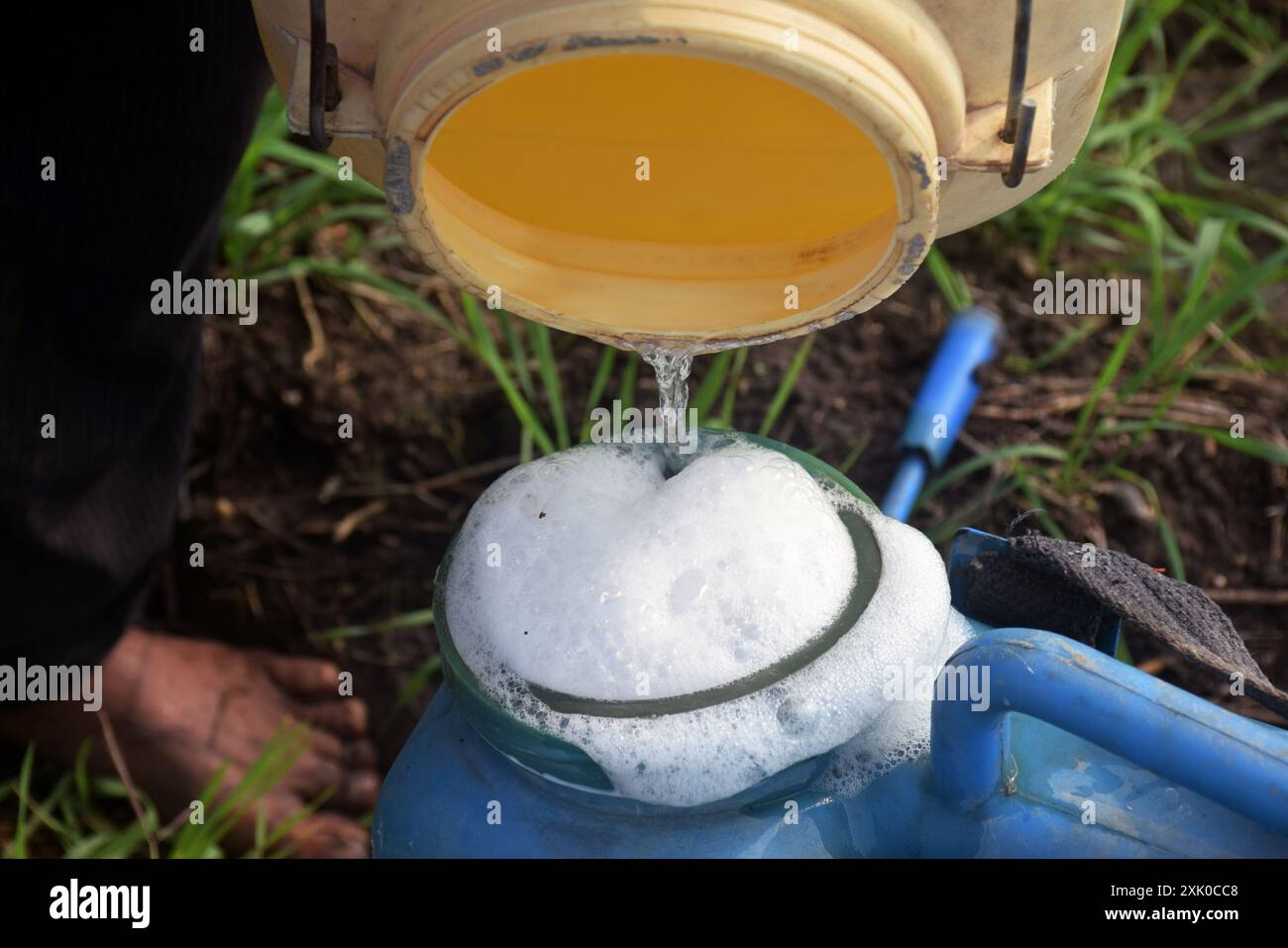 a Man farmer pouring herbicides and chemical into container in green ...