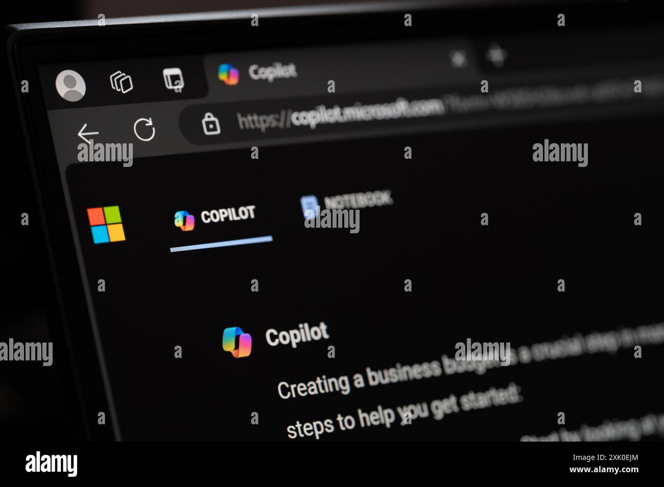 Microsoft copilot logo hi-res stock photography and images - Alamy