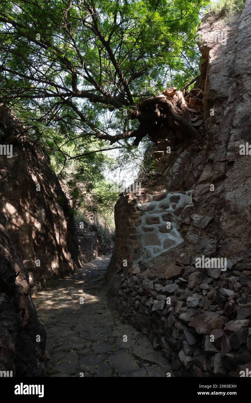 Welded tuff, massive volcanic pink rocks of Rao Jodha Desert Rock Park ...